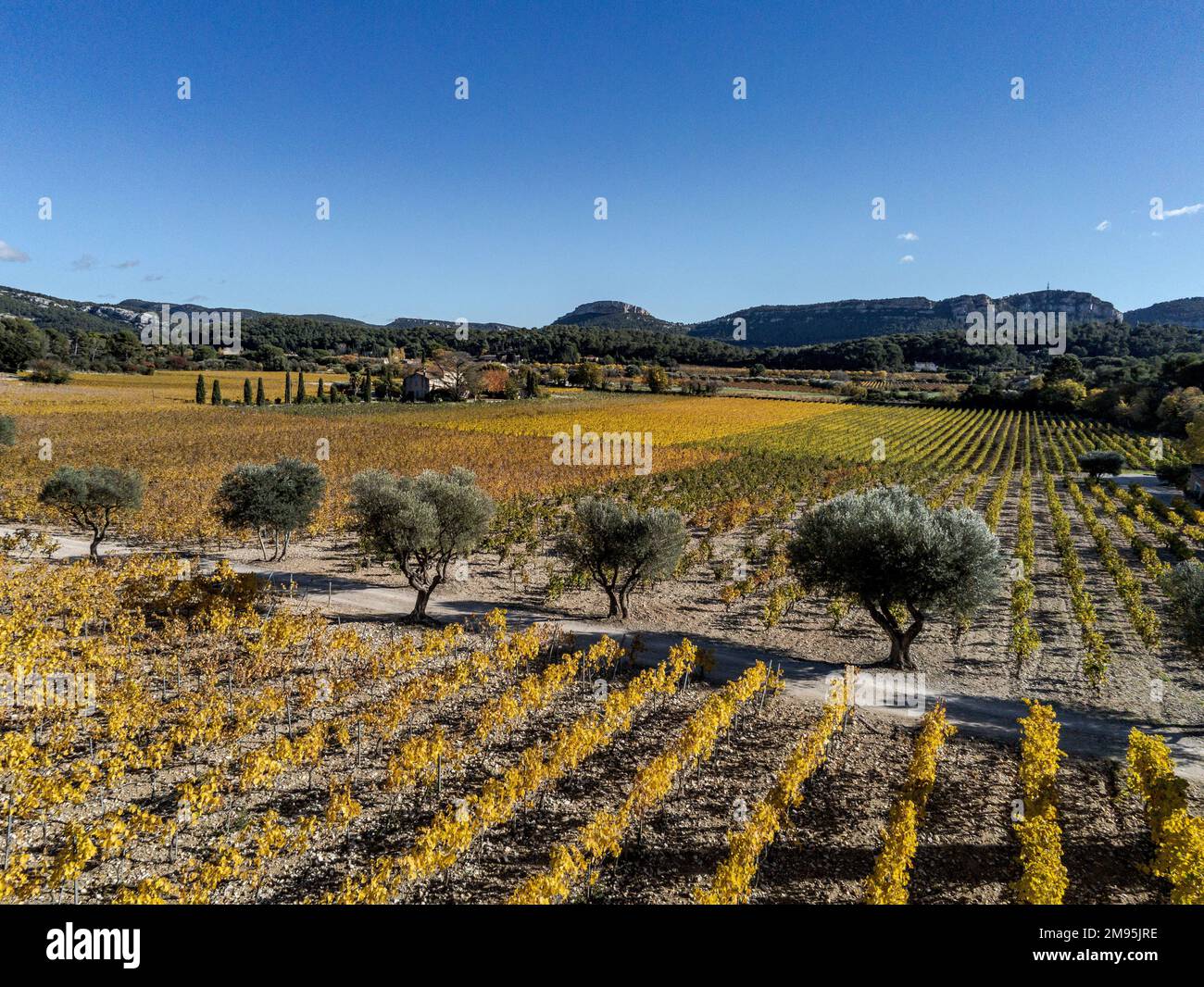 Wines from provence hi-res stock photography and images - Alamy