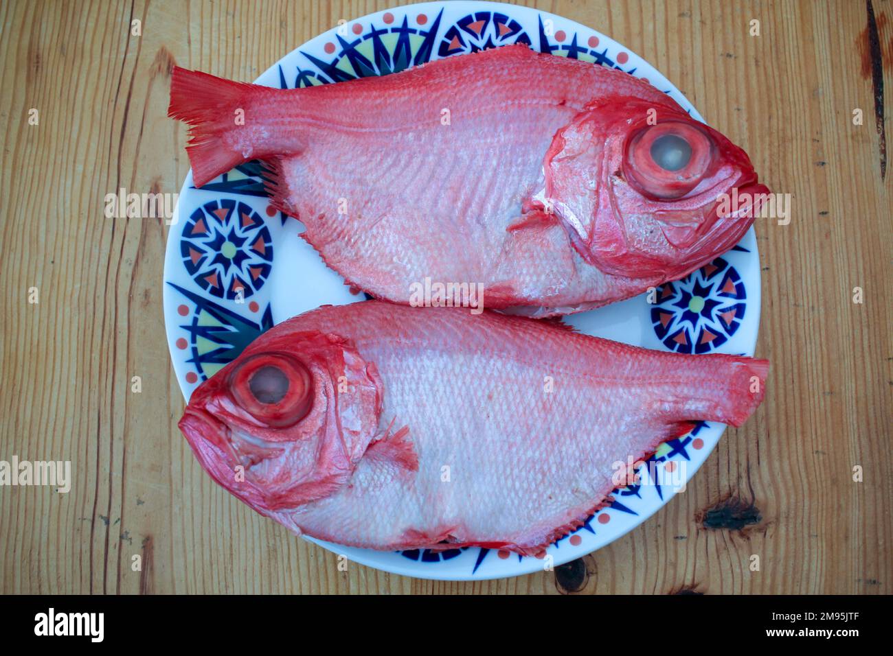 Beryx decadactylus hi-res stock photography and images - Alamy