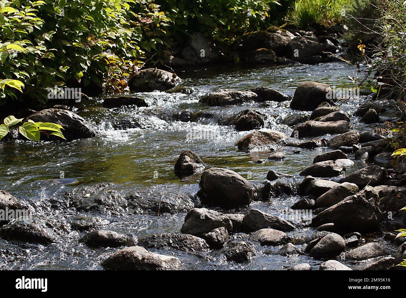 Small stream water flowing over rocks Stock Photo - Alamy