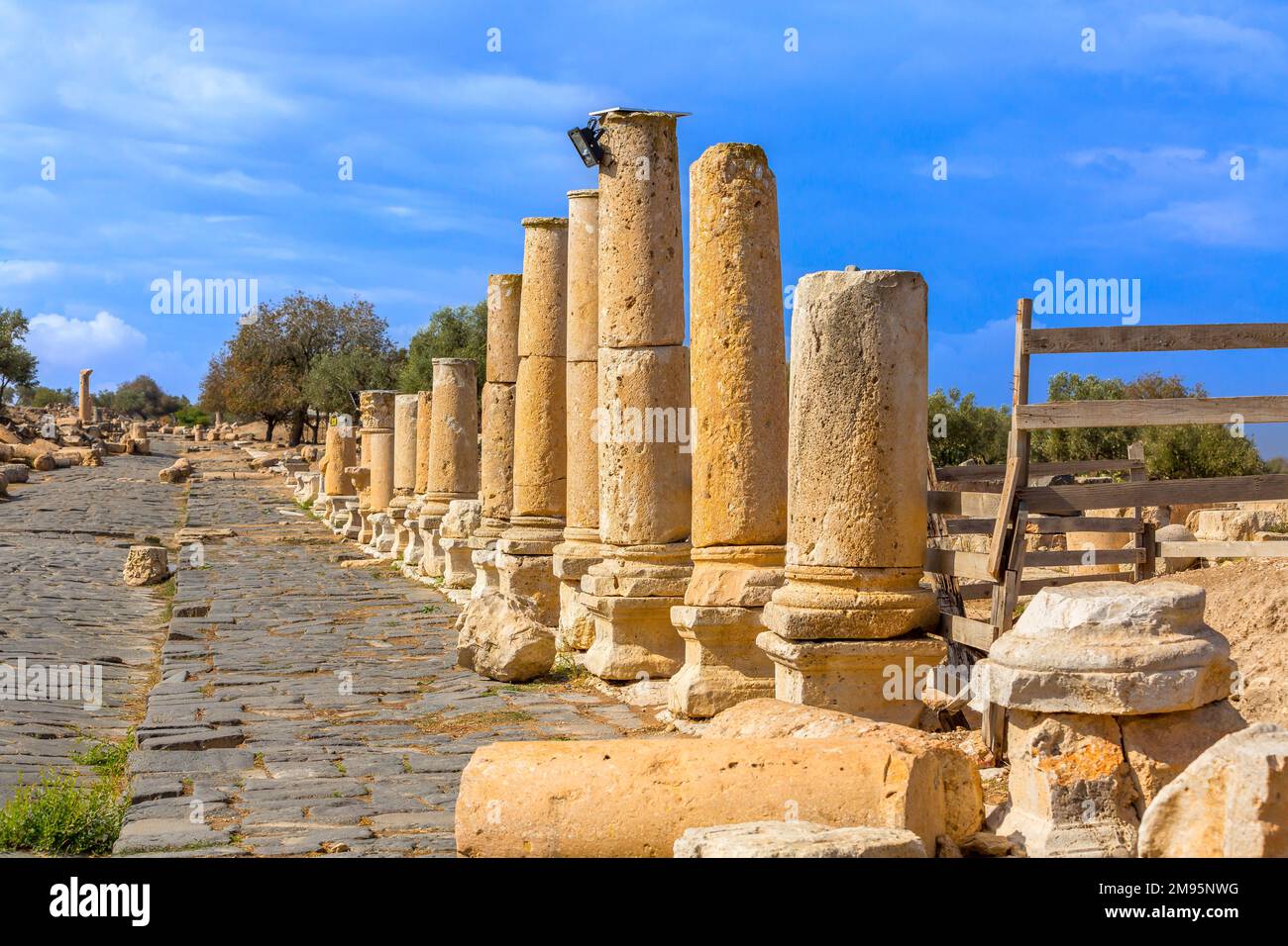Roman road of Umm Qais in northern Jordan. It is located in the north ...