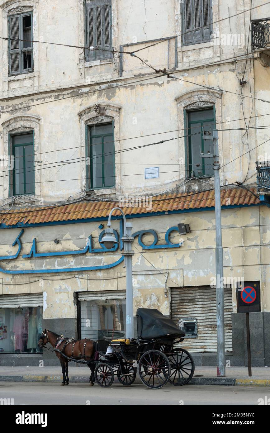 Alexandria, Egypt. December 2nd 2022 Traditional horse and carriage ...