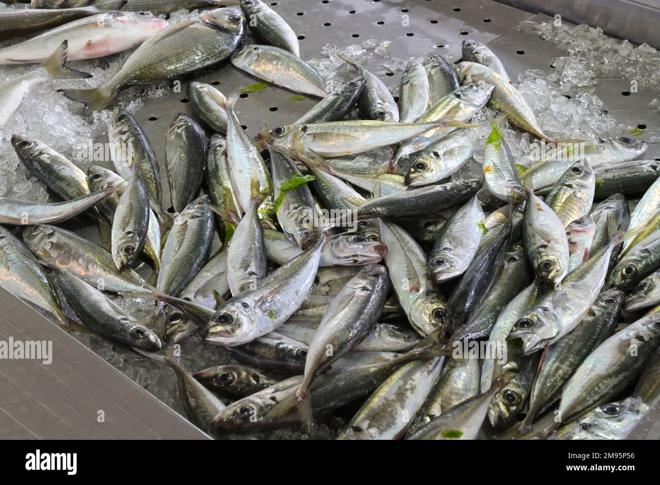 Fish stand, Loule market, Faro district, Algarve, Portugal Stock Photo ...