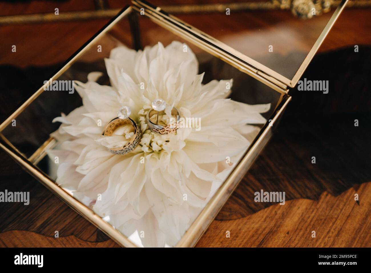 Designer wedding rings lying on a flower and a casket before the ...