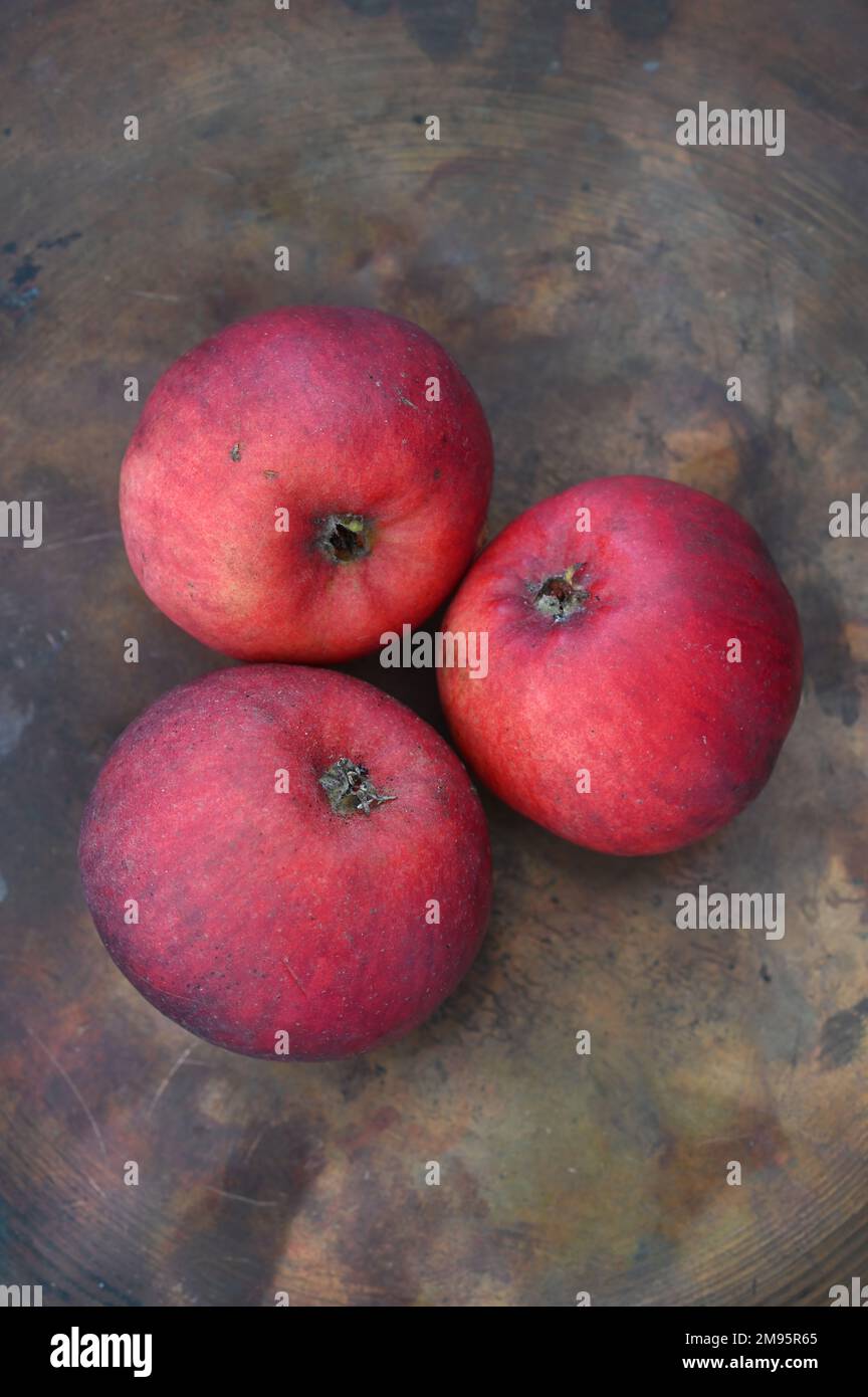 Old copper with fruit hi-res stock photography and images - Alamy