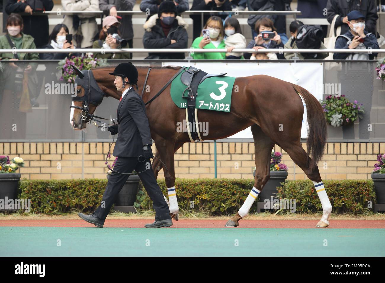 Aichi, Japan. 14th Jan, 2023. Art House is led through the paddock ...
