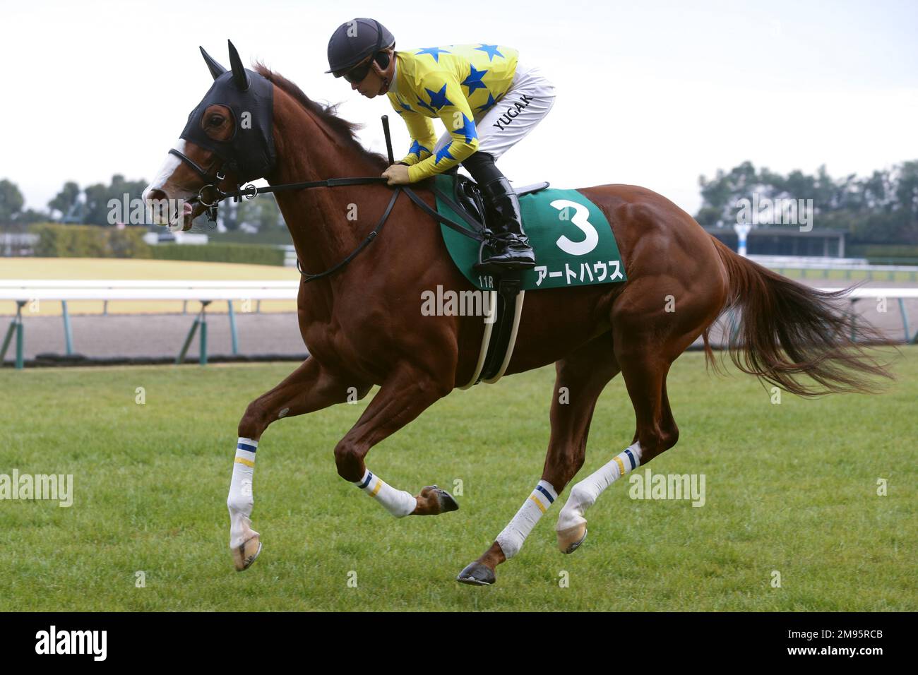 Aichi, Japan. 14th Jan, 2023. Art House and Yuga Kawada before the ...