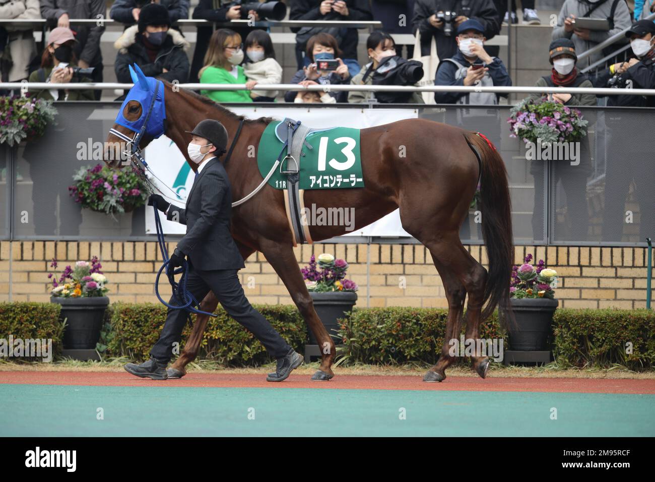 Aichi, Japan. 14th Jan, 2023. Icon Tailor is led through the paddock ...
