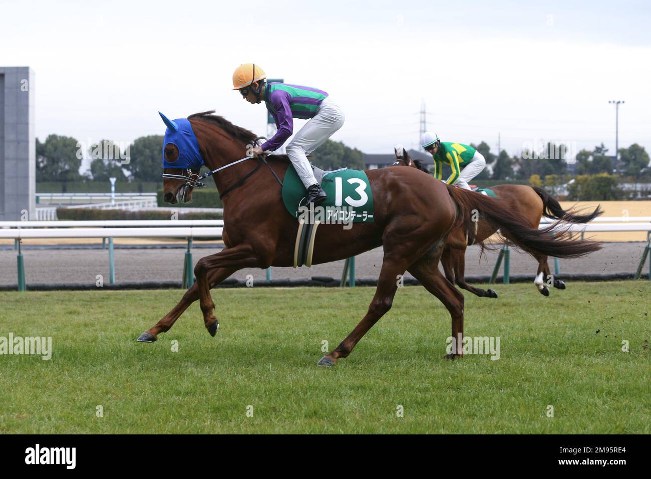 14 january icon hi-res stock photography and images - Alamy