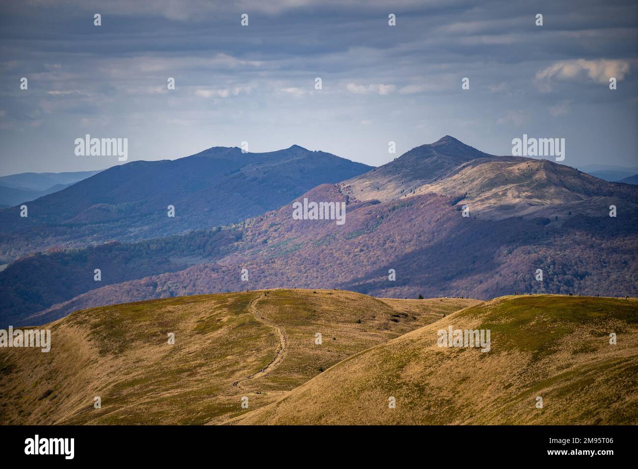 A drone shot of hills covered with autumn forests, cool for background ...