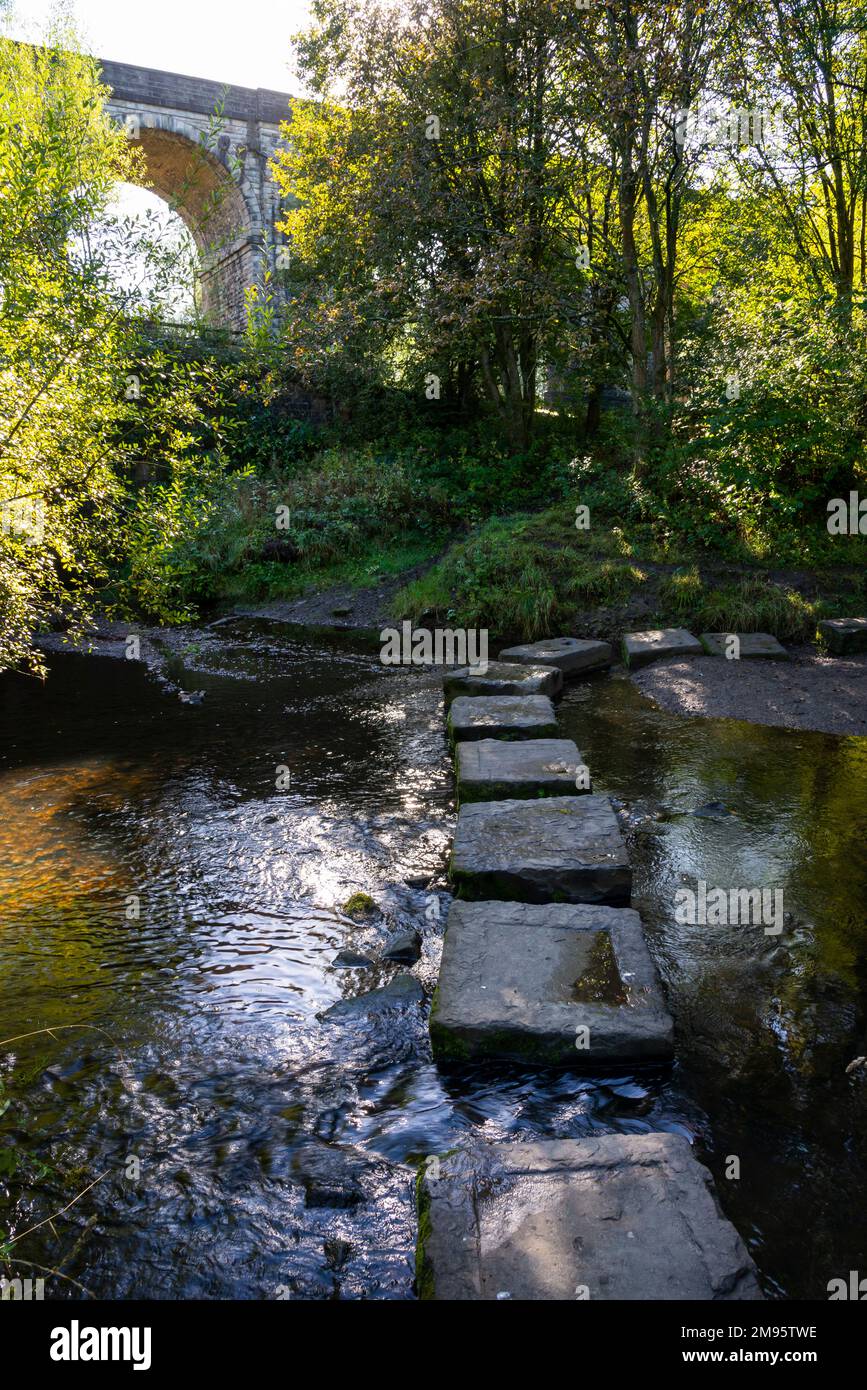 Stepping stones in the nature reserve at Brownhill countryside centre ...