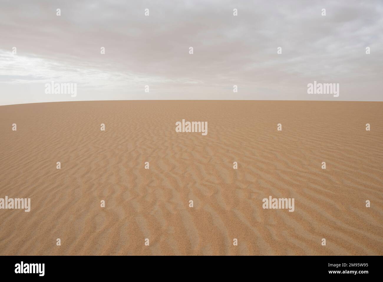 Landscape scenic view of desolate barren western desert in Egypt with ...