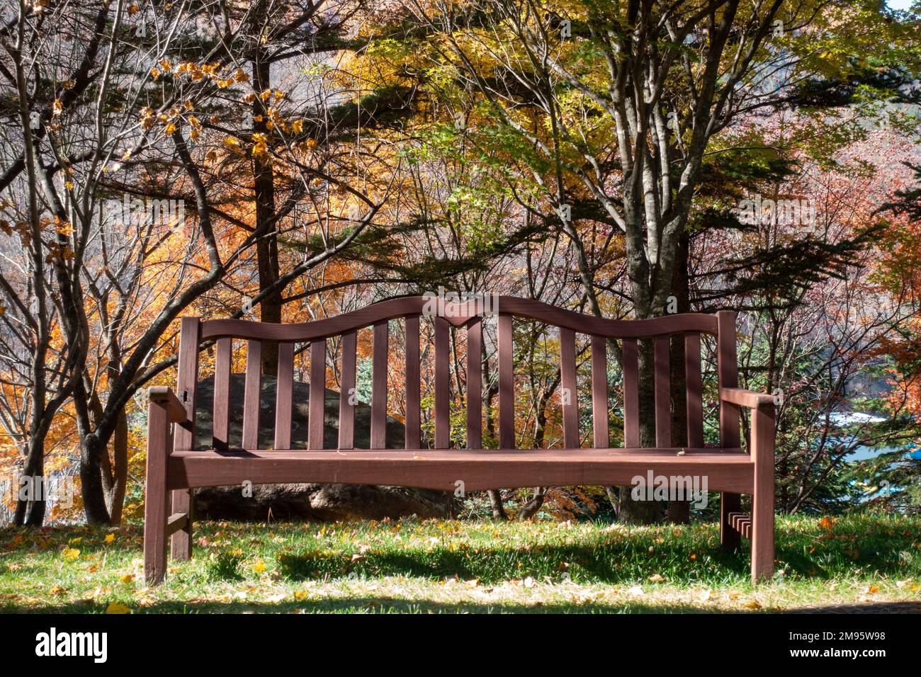 A brown wooden bench under the trees Stock Photo - Alamy