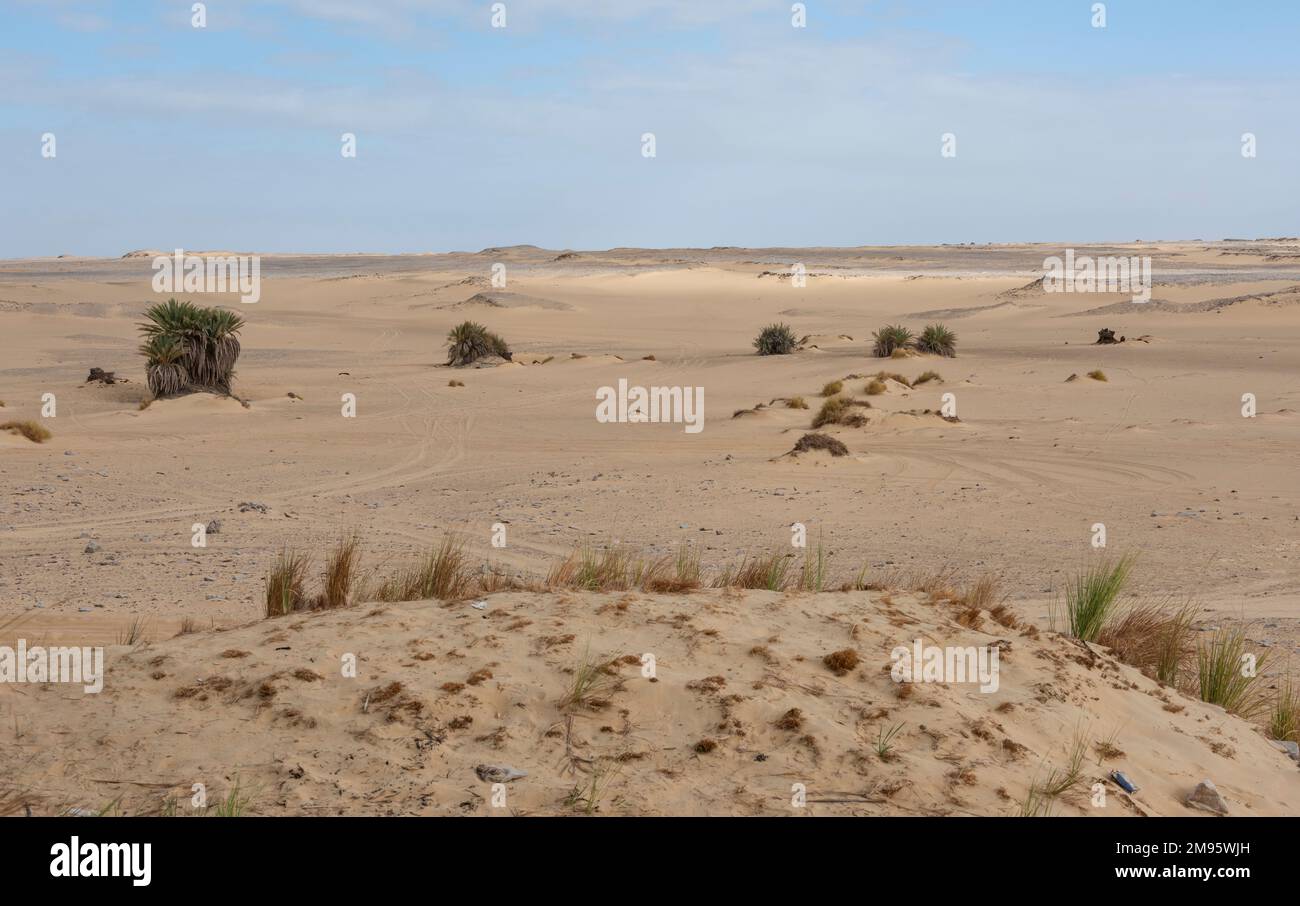 Arid wilderness hi-res stock photography and images - Alamy