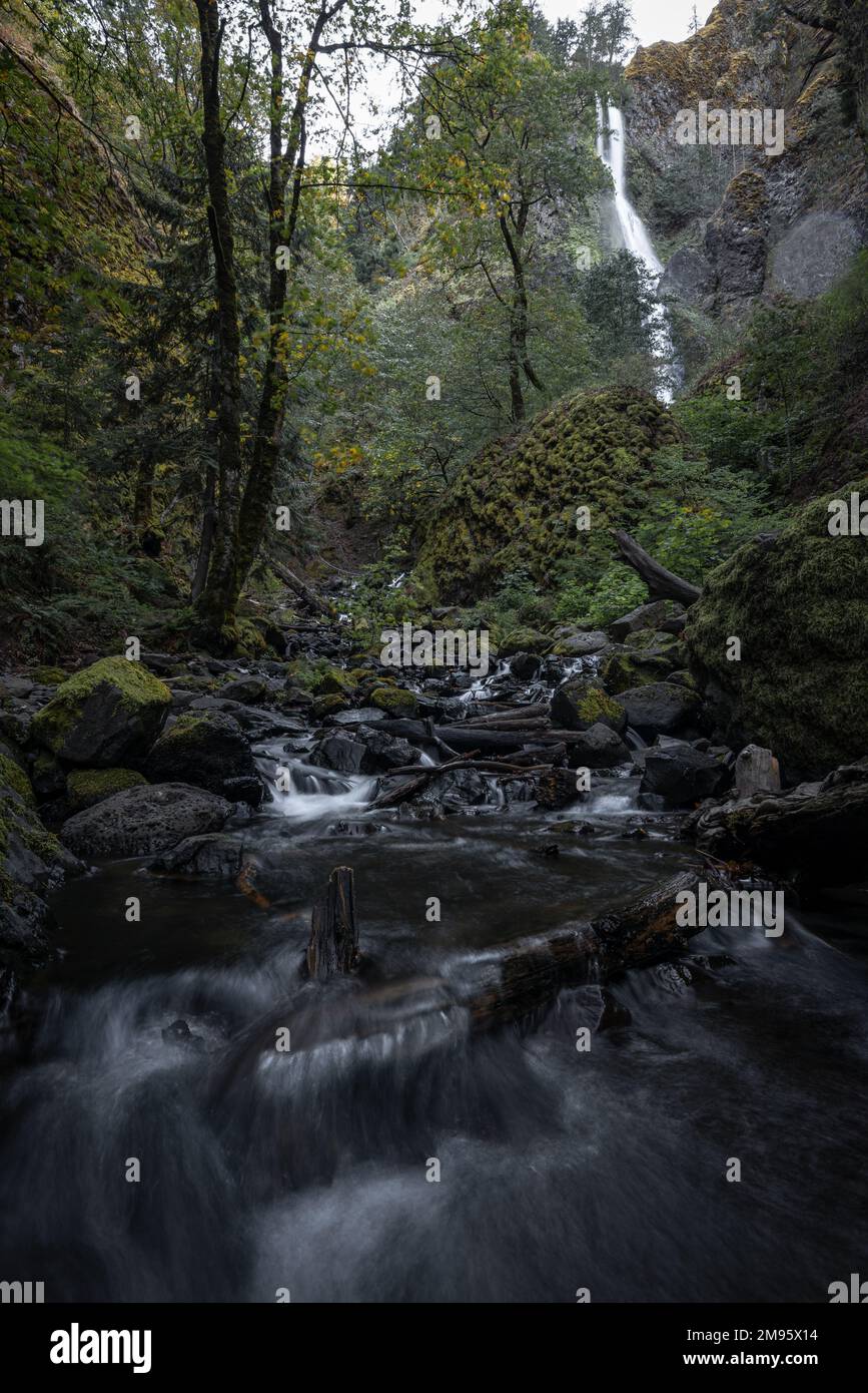 A vertical shot of a river in the dark forest with a waterfall in the ...