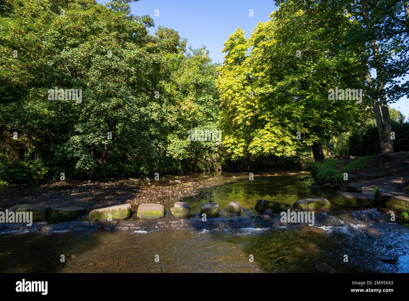 Stepping stones on the river Tame at Uppermill, Greater Manchester ...
