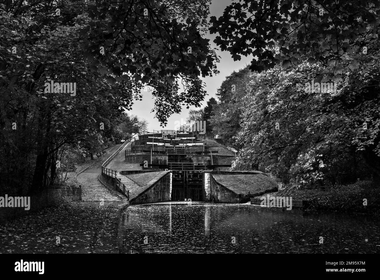 A grayscale of the Five Rise Locks in Bingley and yellow trees captured ...