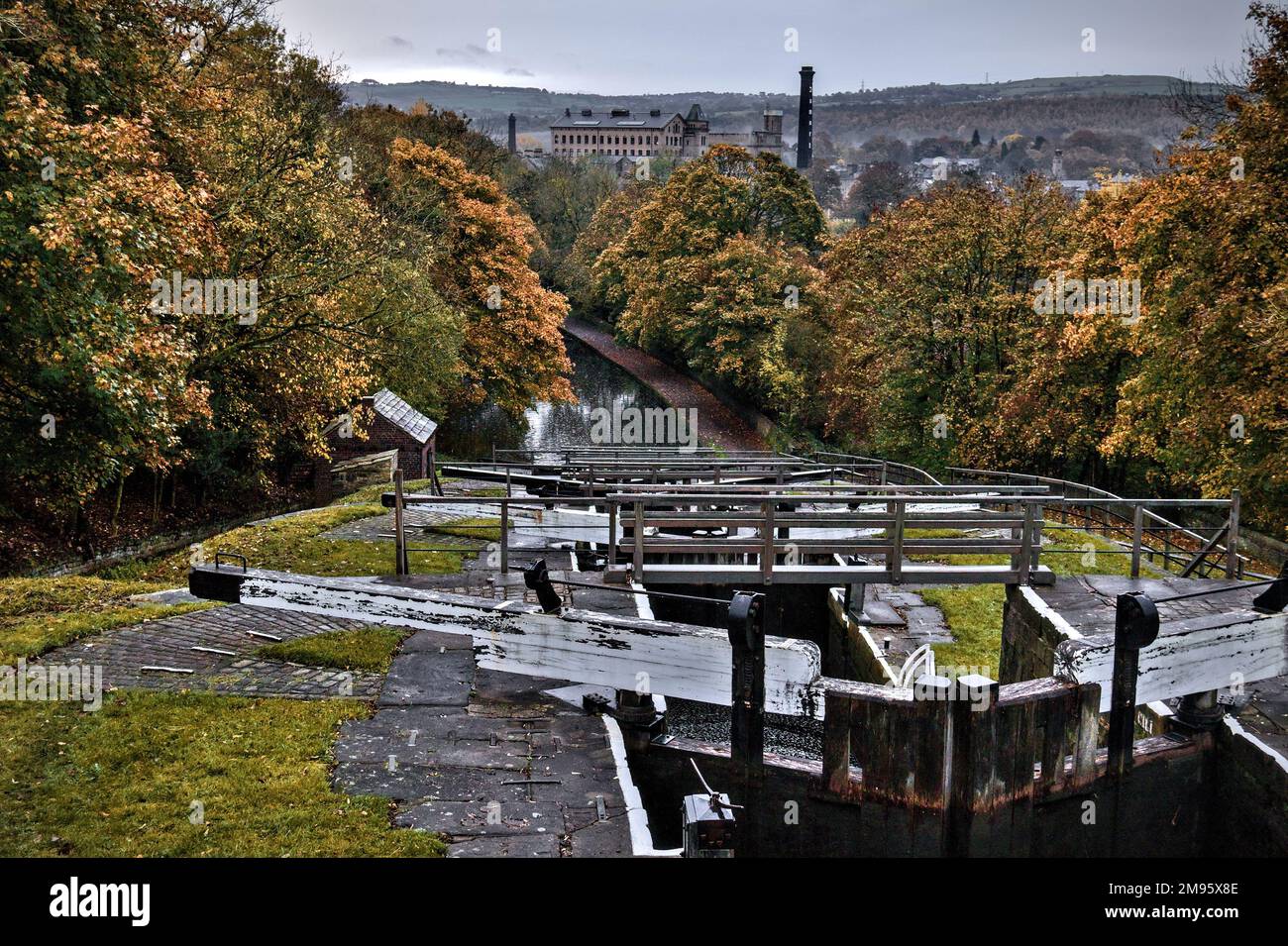 The Five Rise Locks in Bingley and yellow trees captured on an autumn ...