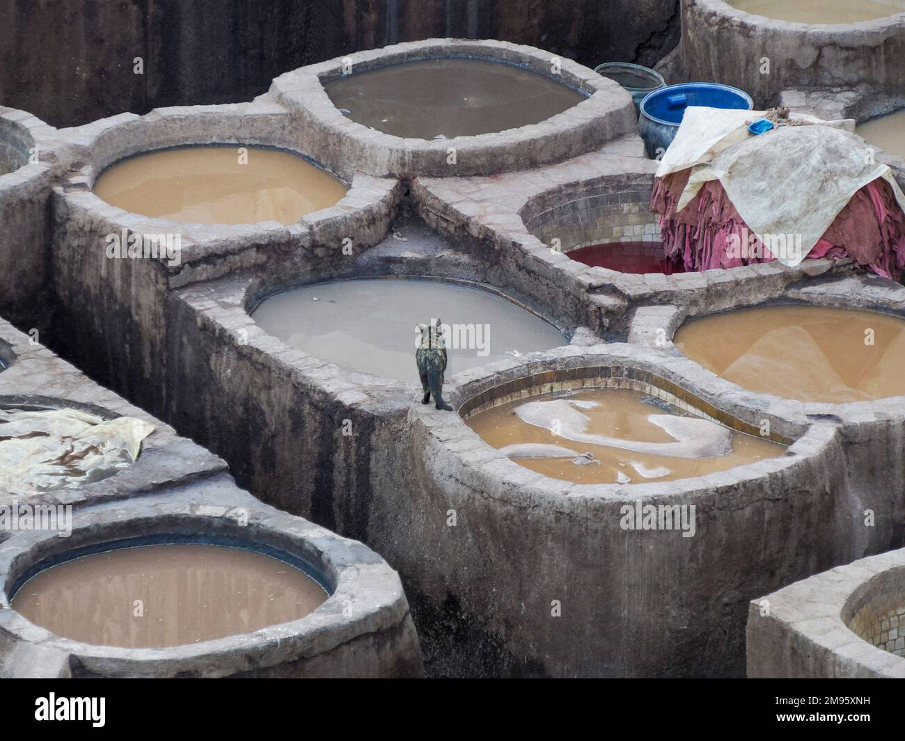 Fes, Morocco, Tannery aerial view Africa Old tanks of the Fez's ...
