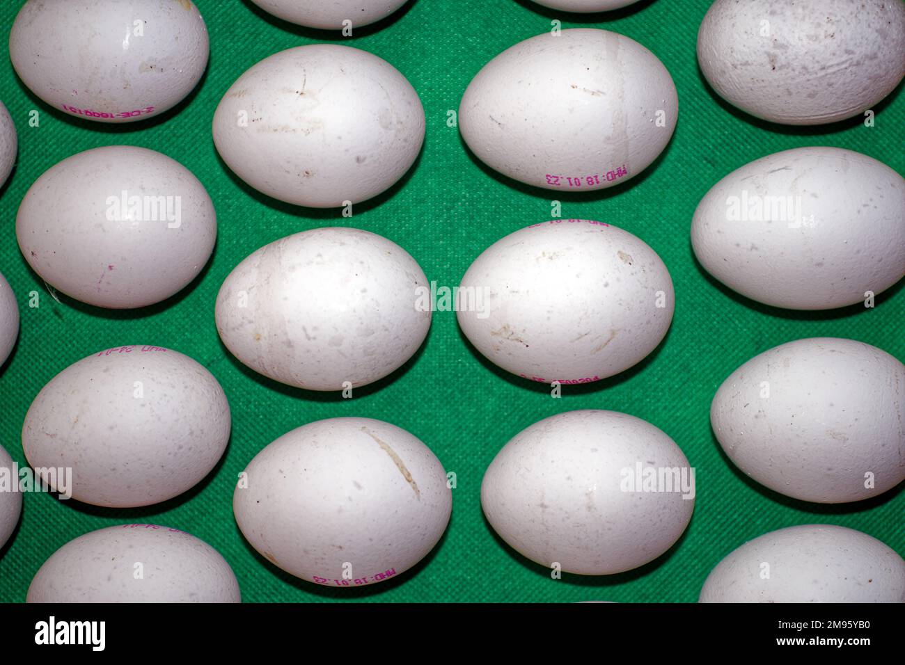 Egg shell structure hi-res stock photography and images - Alamy