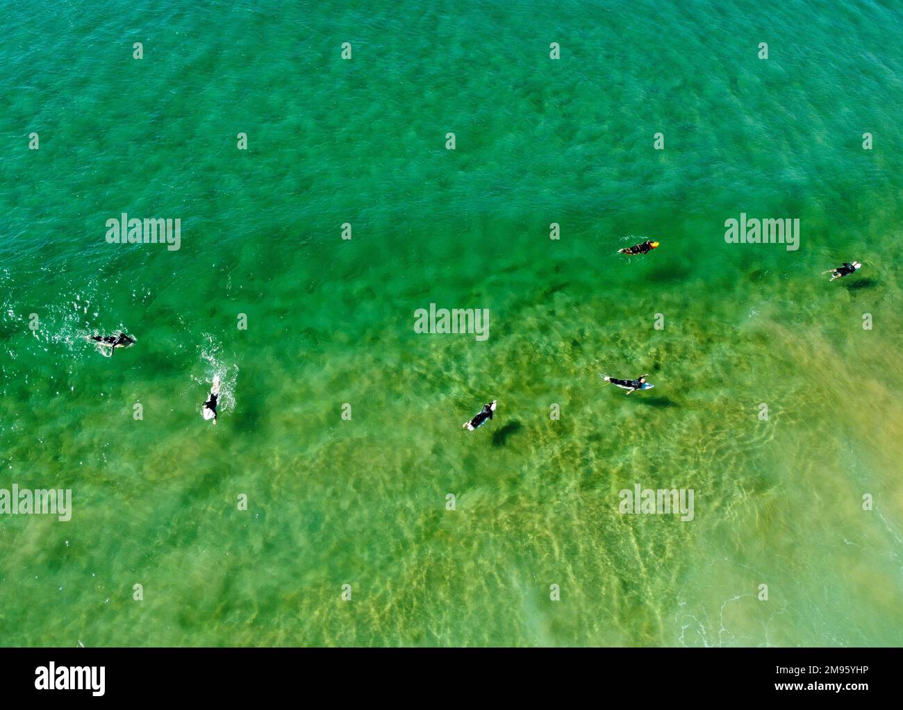 The aerial view of the green water with floating surfers waiting for ...