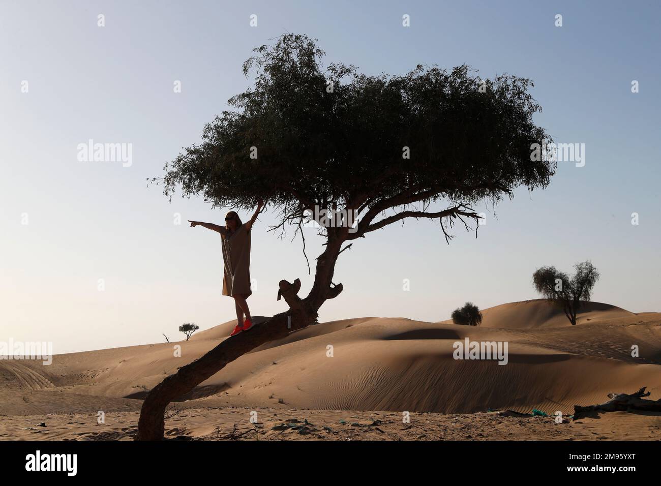 Silhouette of woman standing on an acacia tree in Abu Dhabi desert ...