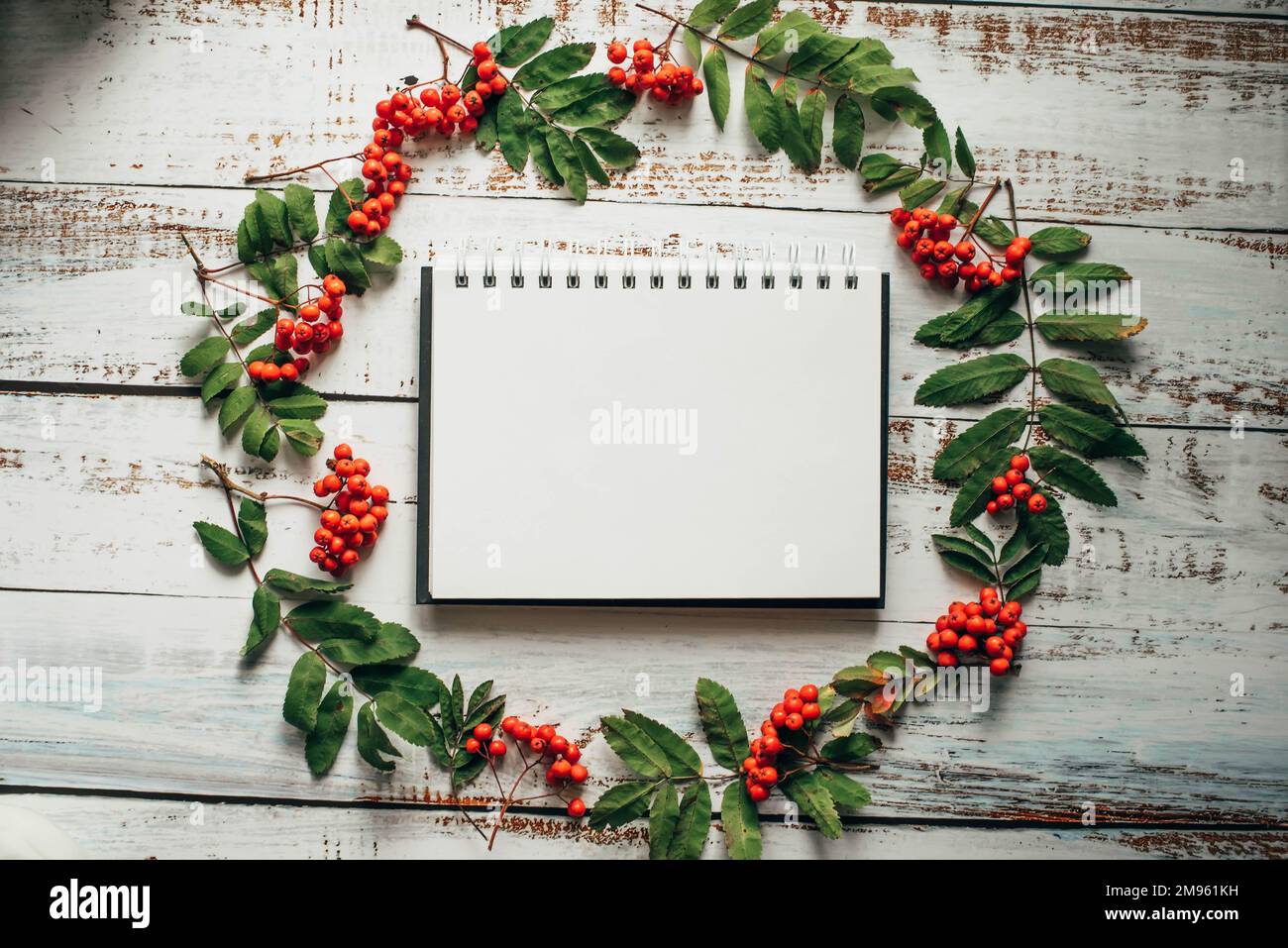 White wooden background autumn rowan berries leaves. Flat lay, top view ...