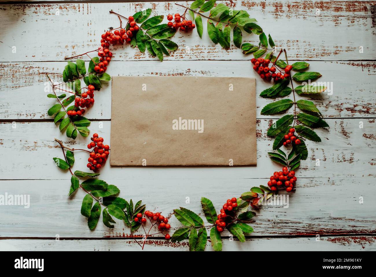 White wooden background autumn rowan berries leaves. Flat lay, top view ...