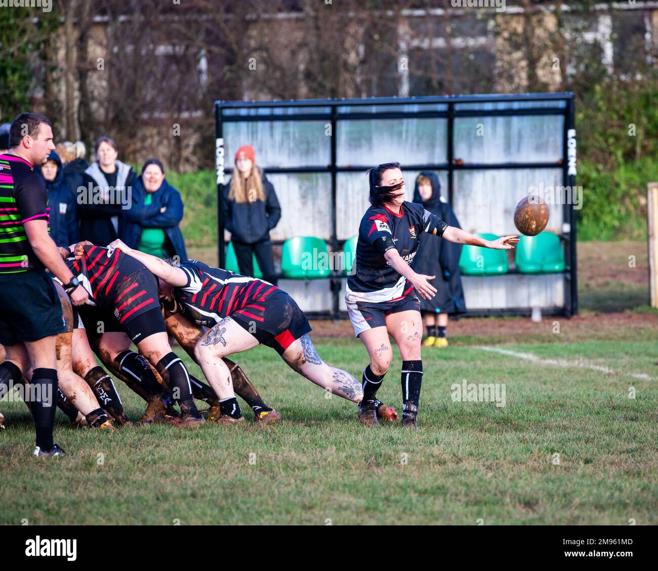 Withycombe rfc hi-res stock photography and images - Alamy