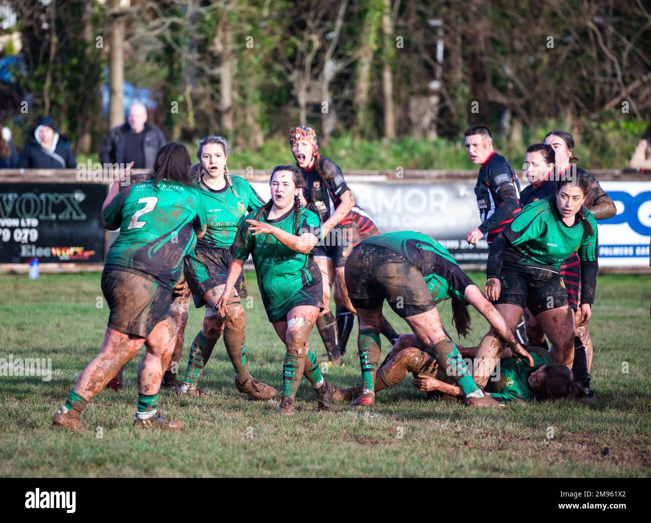 Camborne RFC playing Withycombe RFC on a very muddy pitch in January ...