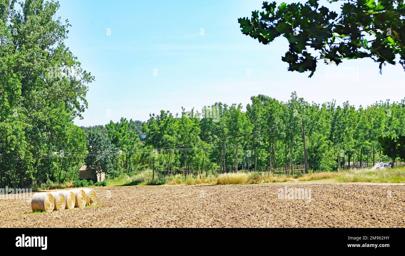 Landscape of the region of La Selva, Massanet, Girona, Catalunya, Spain ...