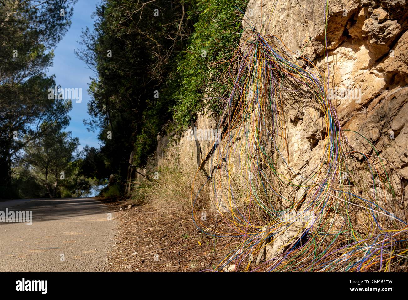 Fiber optic lines on pole hi-res stock photography and images - Alamy