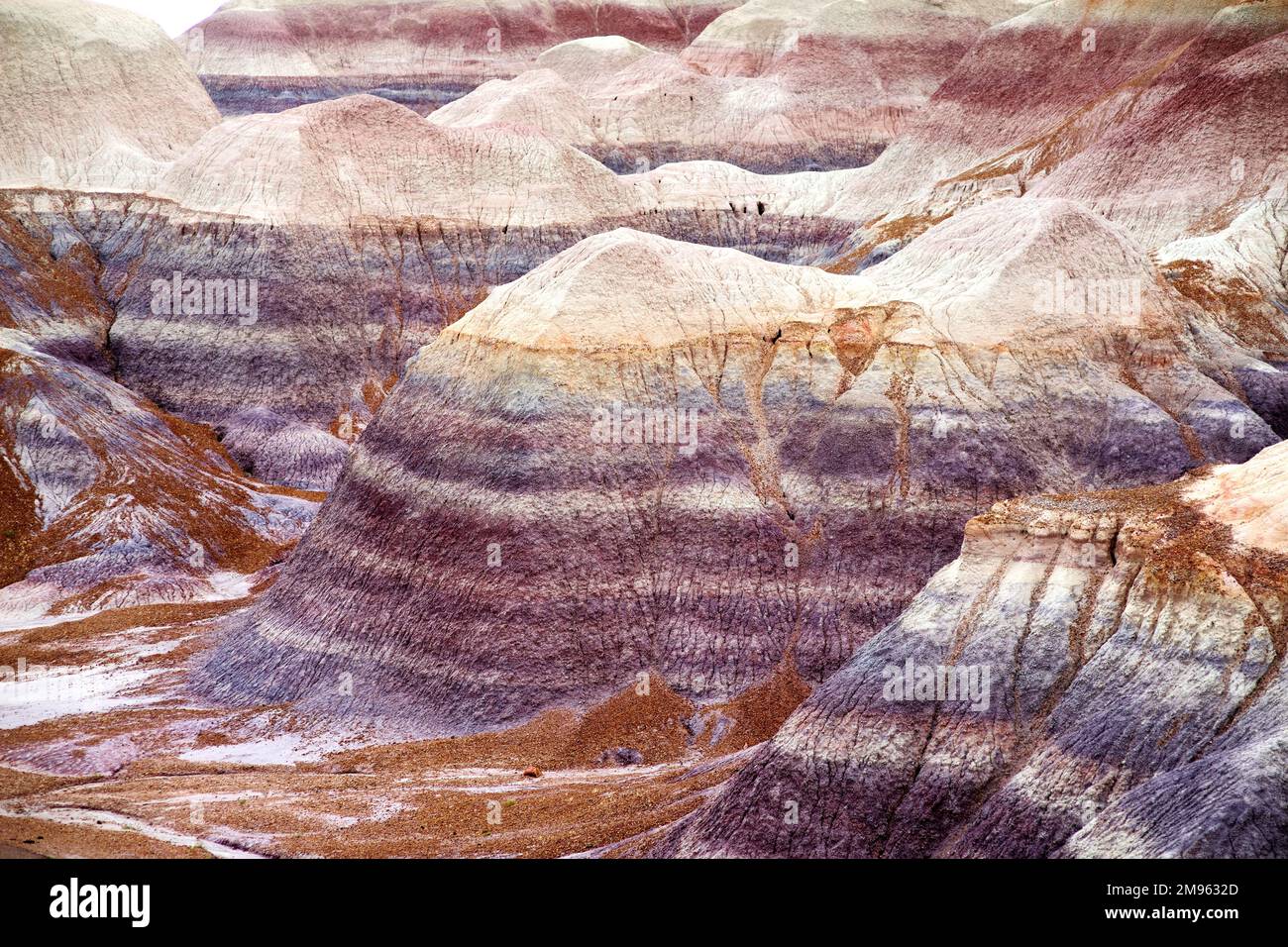 Striped purple sandstone formations of Blue Mesa badlands in Petrified ...