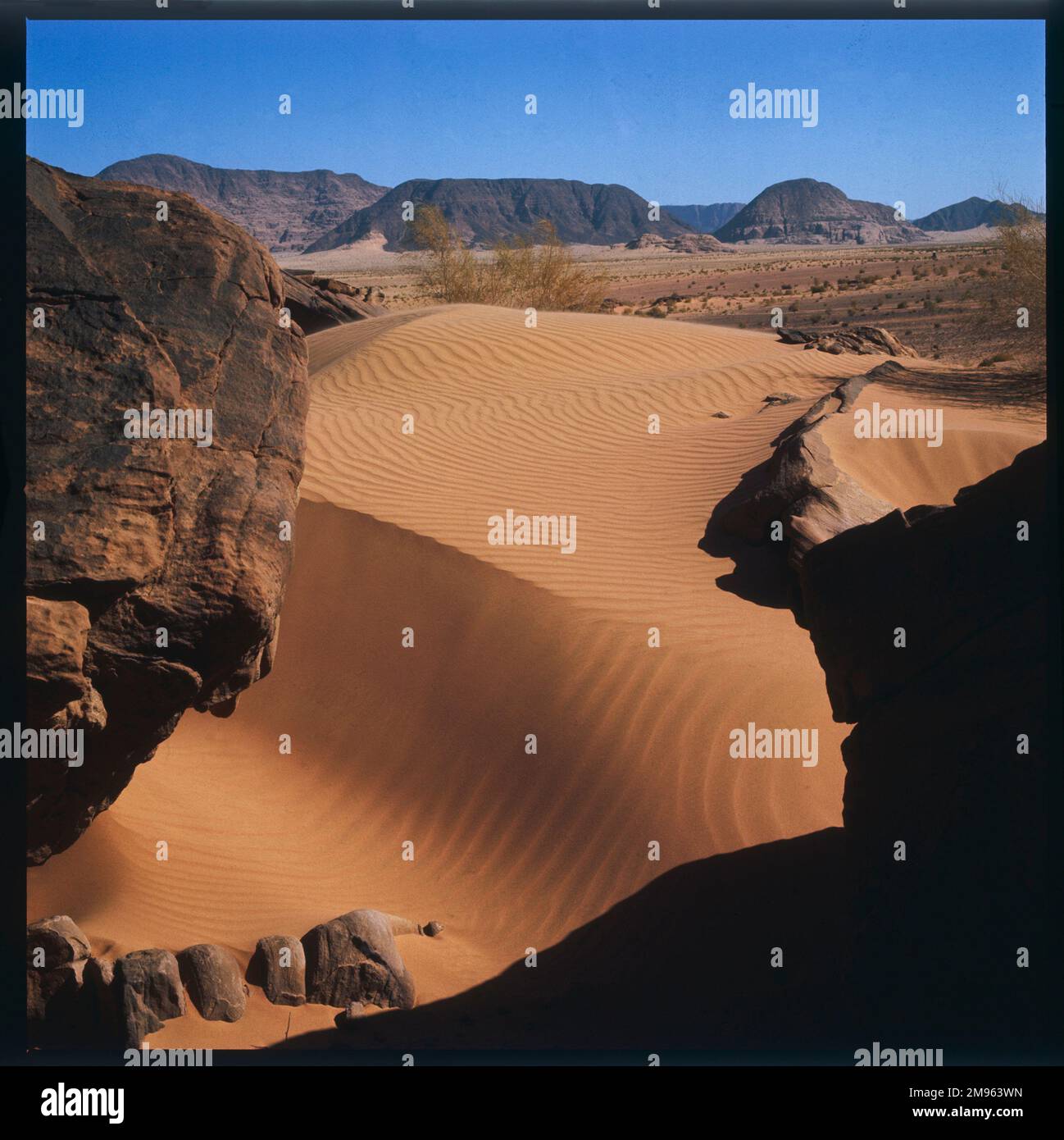 Desert landscape with sand dune, Wadi Ram, Jordan Stock Photo - Alamy