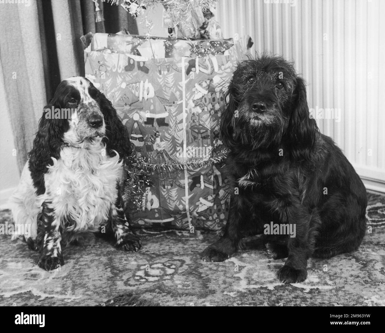 1970s christmas tree hi-res stock photography and images - Alamy