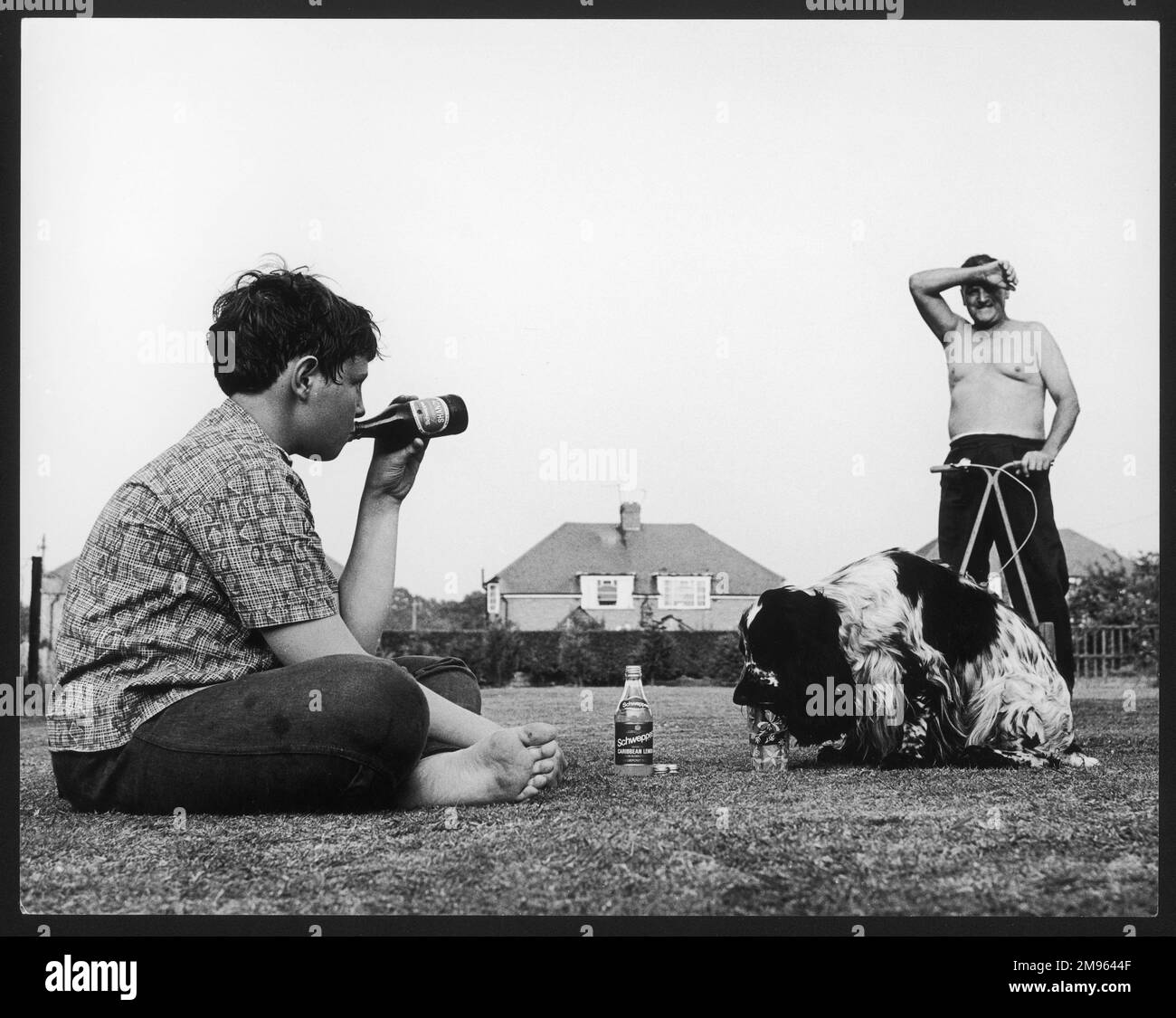 A sensible boy cools down with a bottle of shandy and his dog laps up a ...