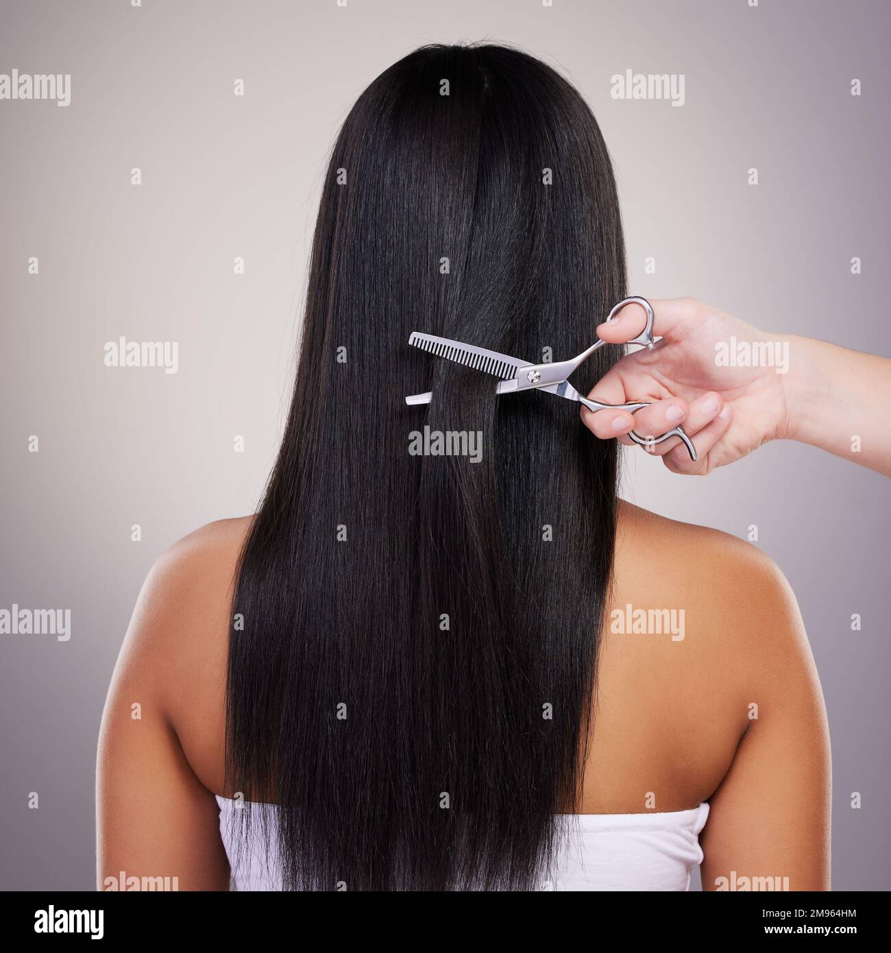 Woman getting hair cut hi-res stock photography and images - Alamy