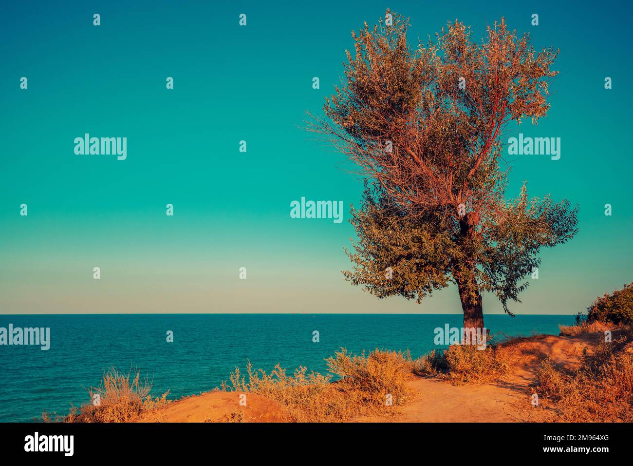 Steep seashore hi-res stock photography and images - Alamy