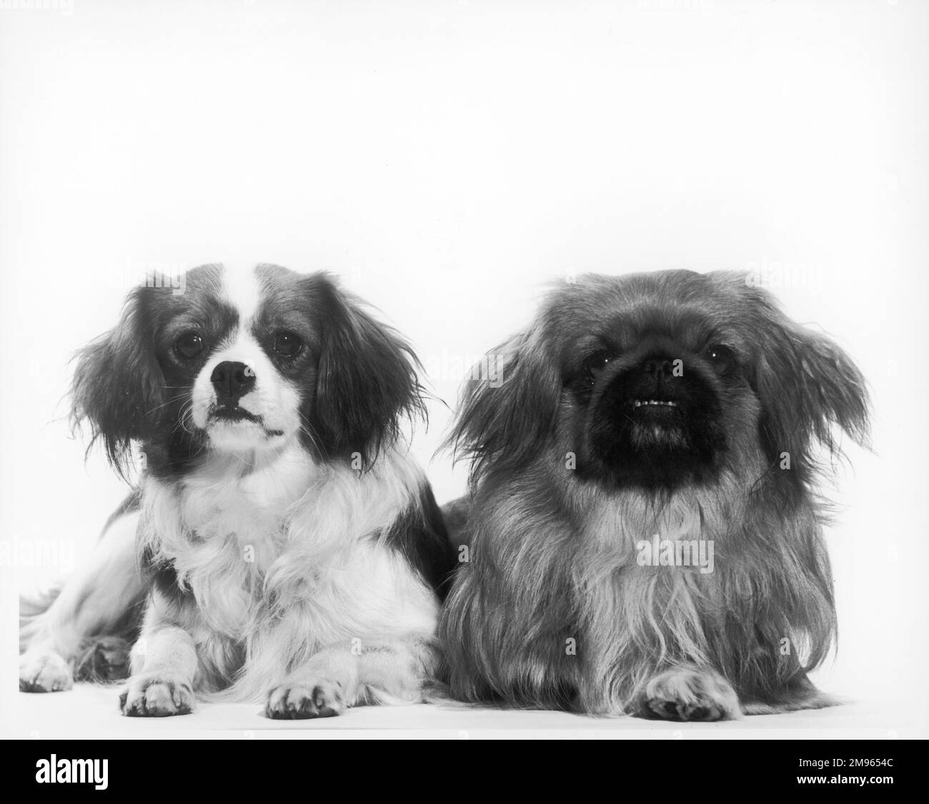 Left ad Black and White Stock Photos & Images - Alamy