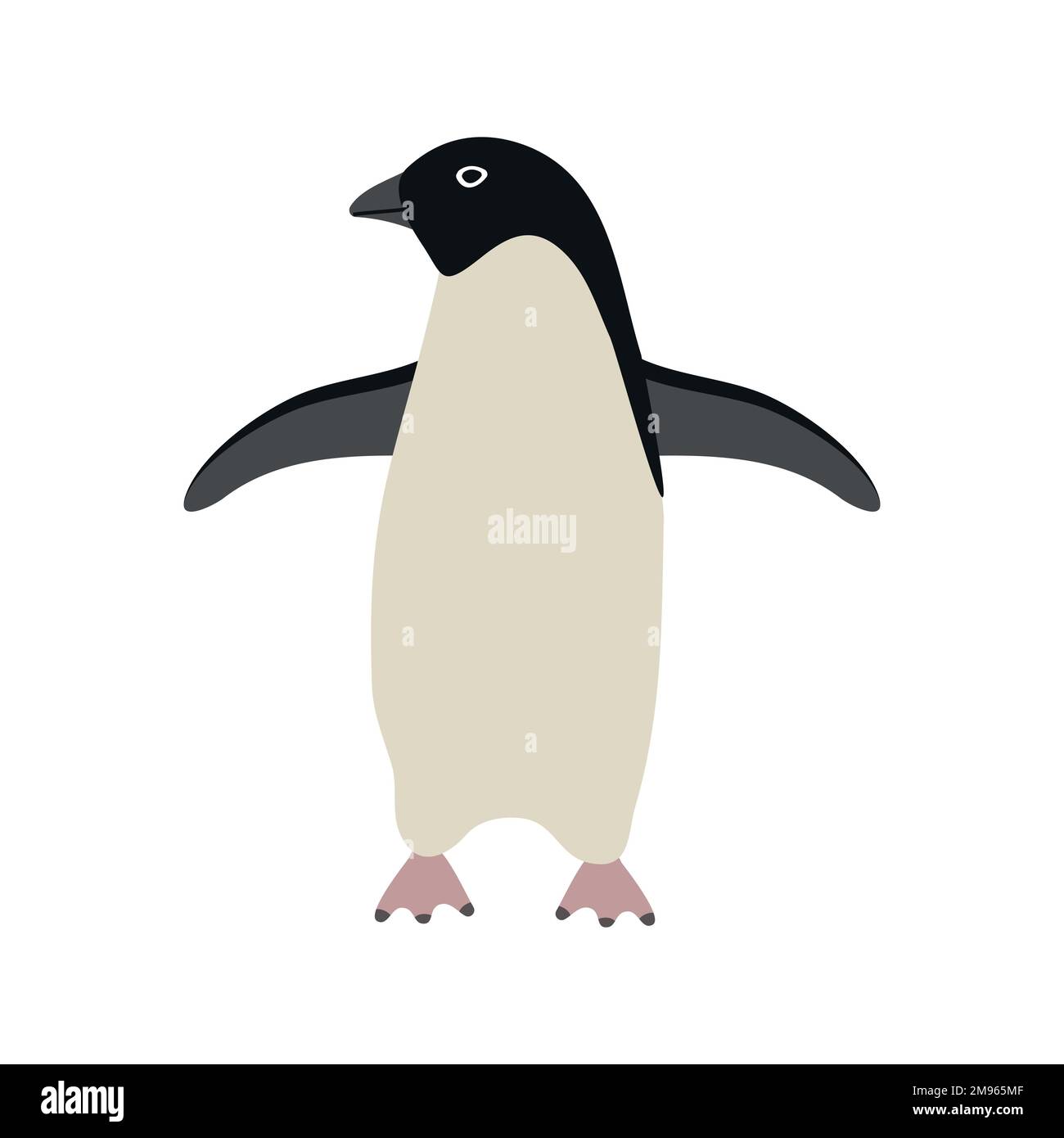 Vector hand drawn flat penguin isolated on white background Stock ...