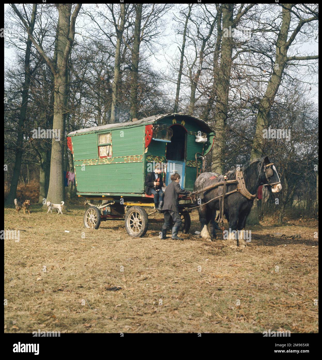 A traditional gypsy caravan at an encampment in Surrey, brightly ...