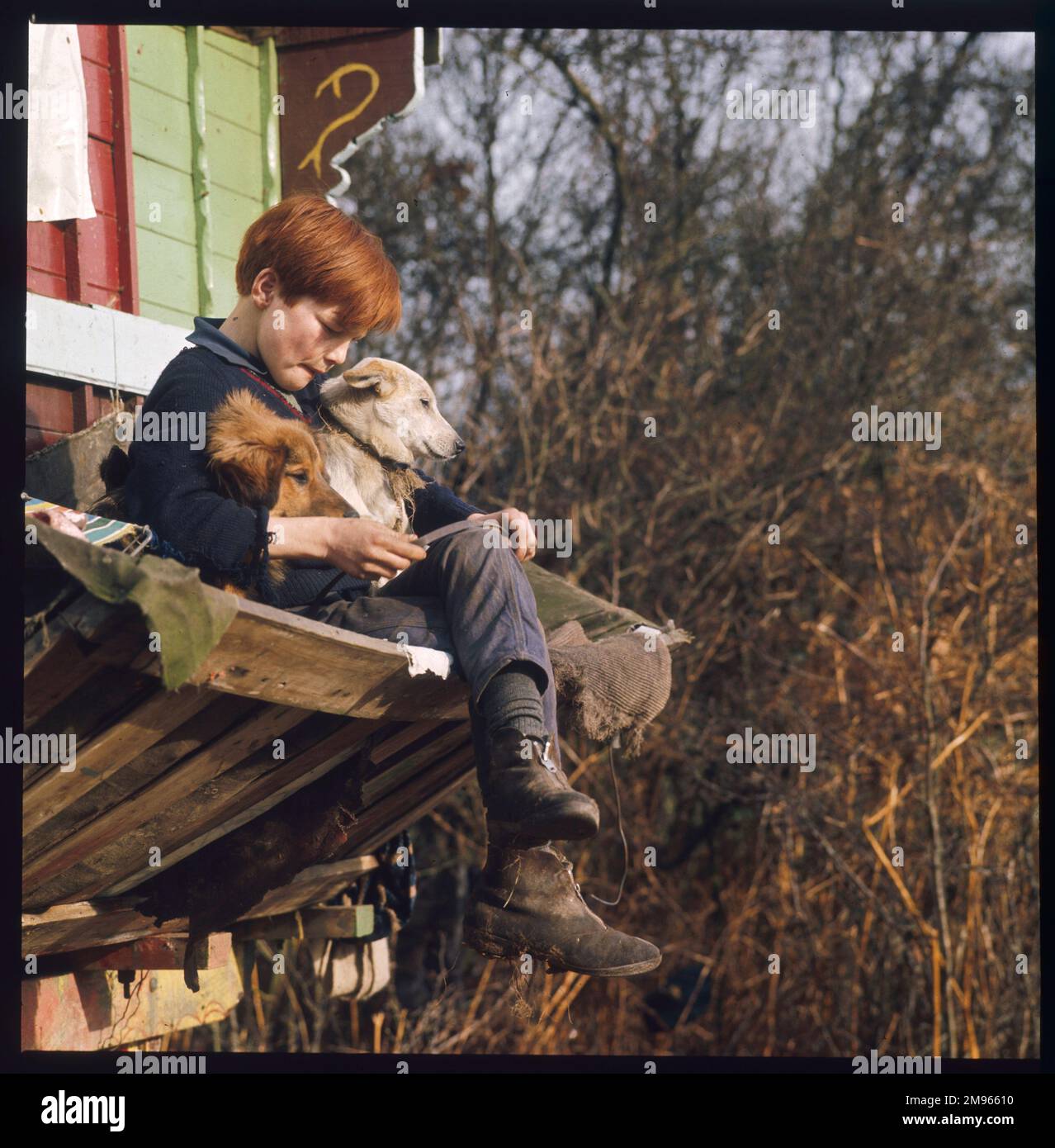 A ginger haired gypsy boy sits on the shelf at the end of the family ...
