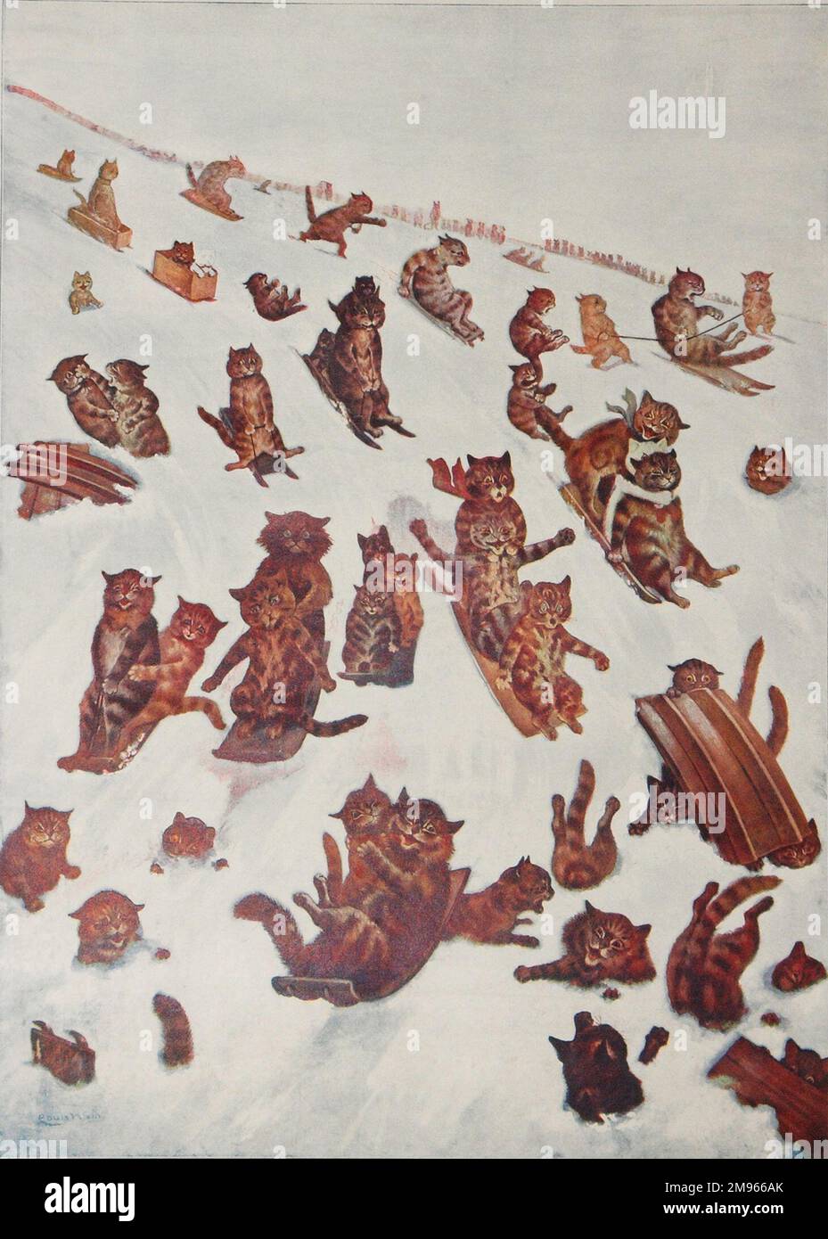 A huge number of tabby cats go mad sledging in the winter snow Stock ...