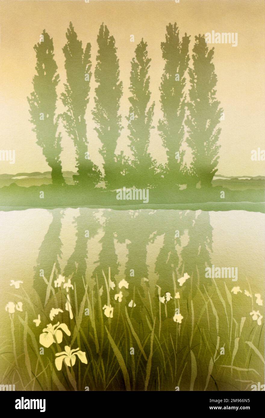 Bordered with poplar trees hi-res stock photography and images - Alamy