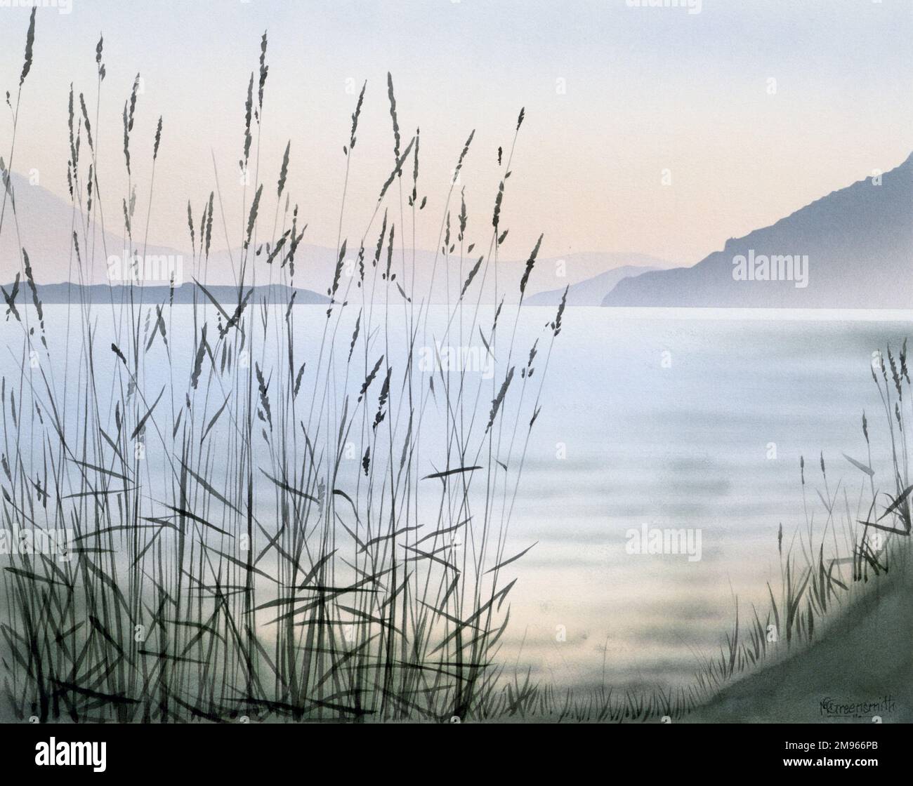 Reeds historical hi-res stock photography and images - Alamy