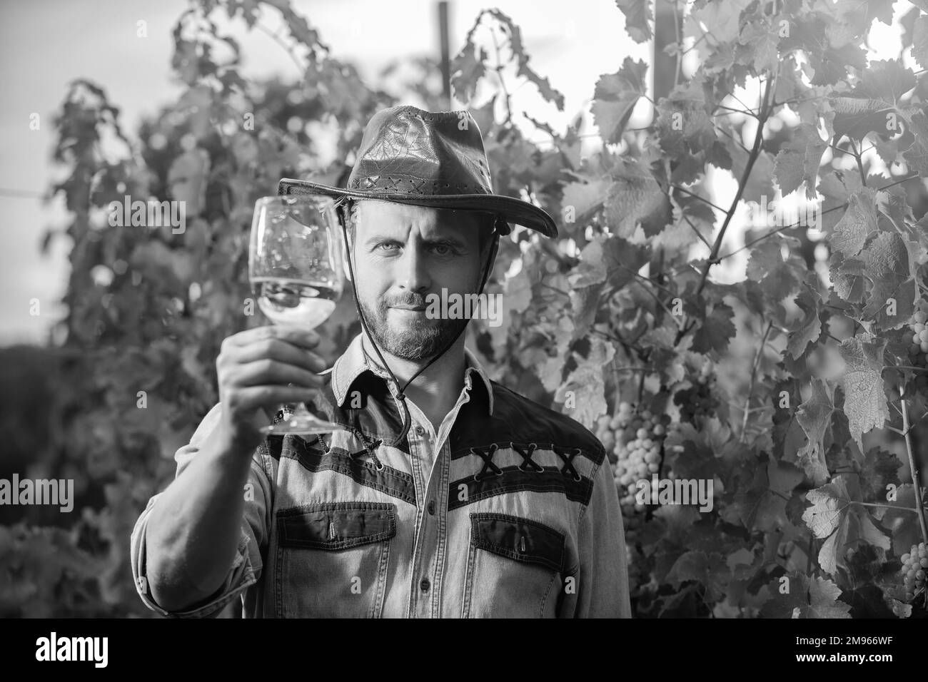 Hold wineglass Black and White Stock Photos & Images - Alamy