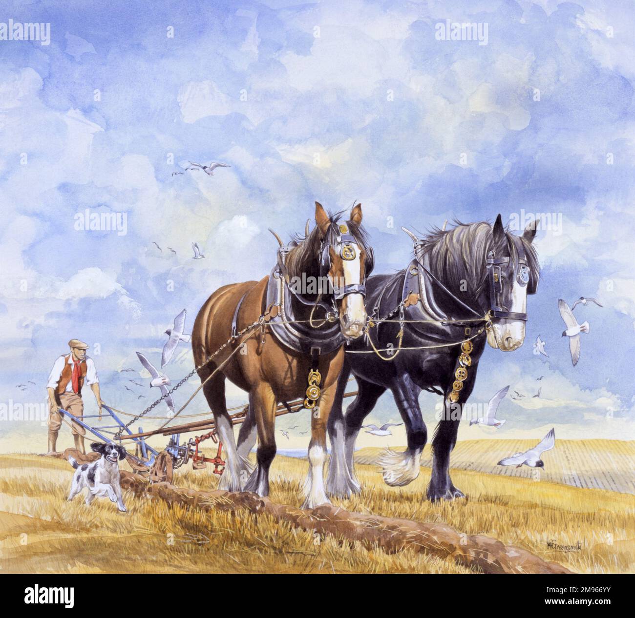 Pulling the plough hi-res stock photography and images - Alamy
