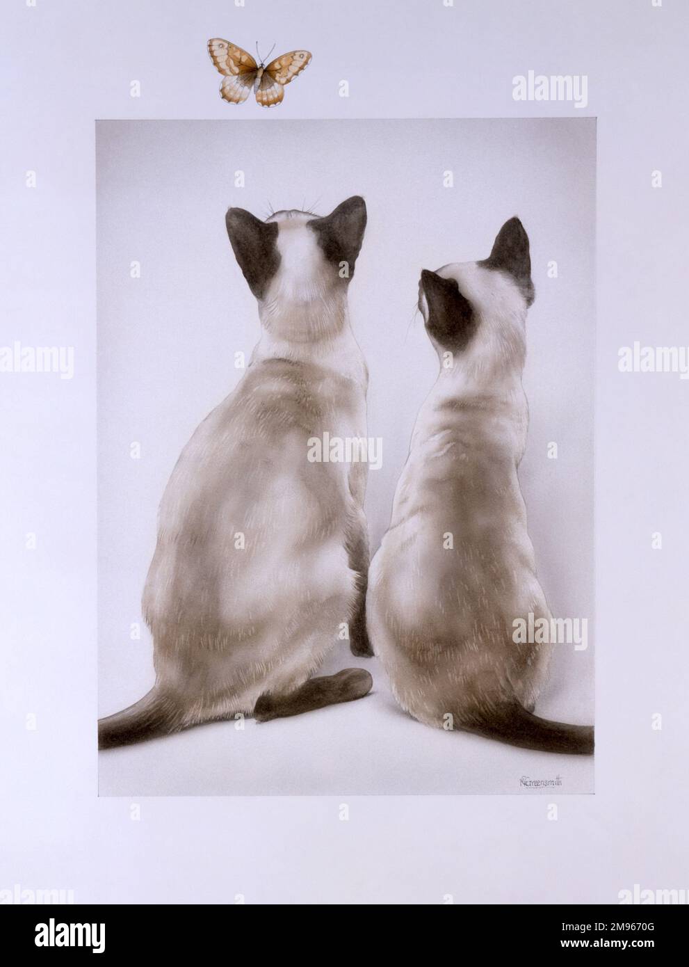 Two siamese cats watch a tortoiseshell butterfly. Painting by Malcolm ...
