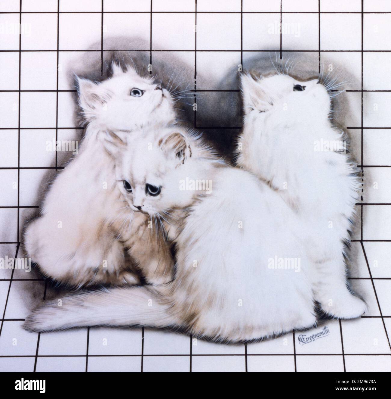 Three cute white kittens on a bold white background, covered with a grid of thin black lines ...