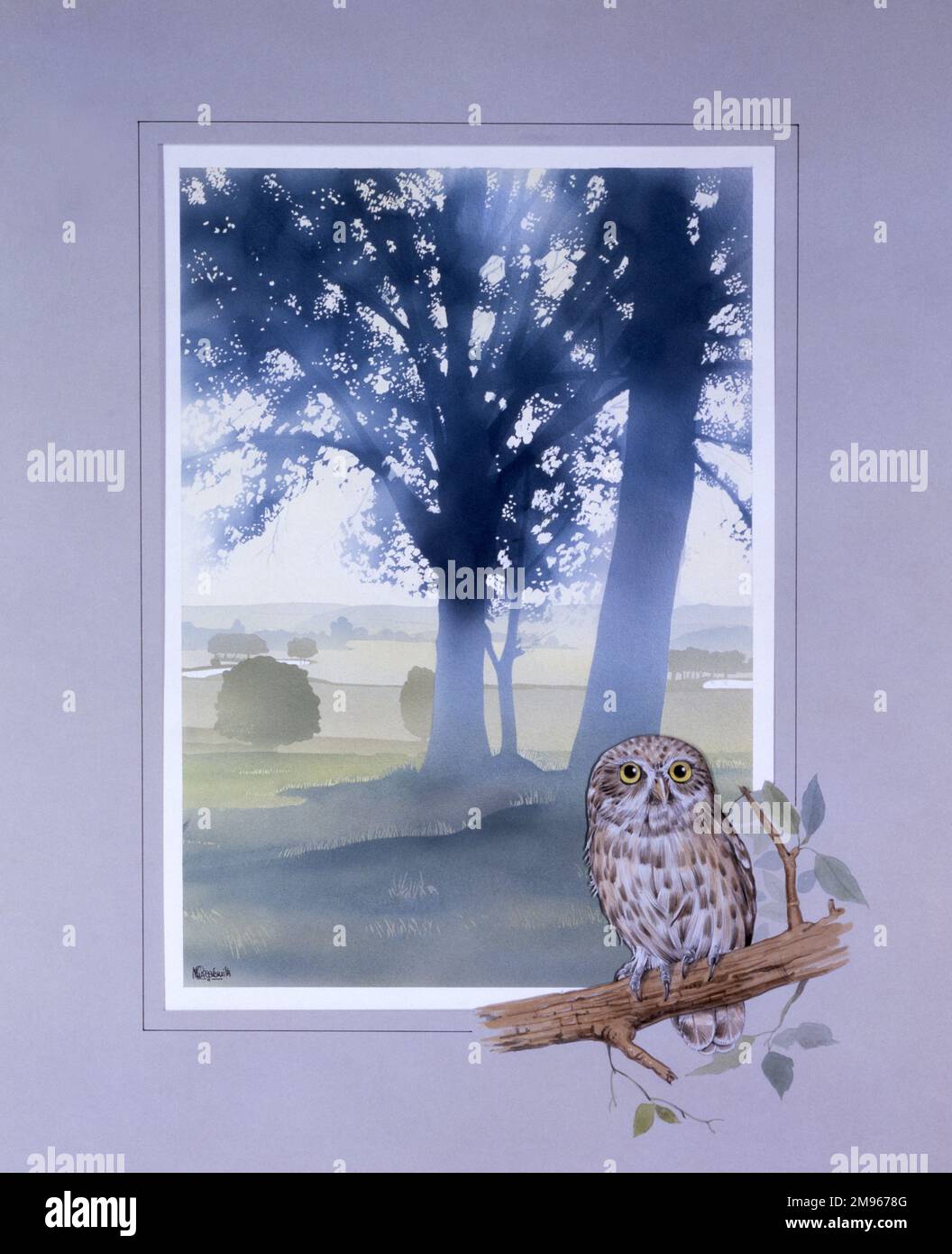 Hazy mid-afternoon light falls through two large trees, sat in the ...