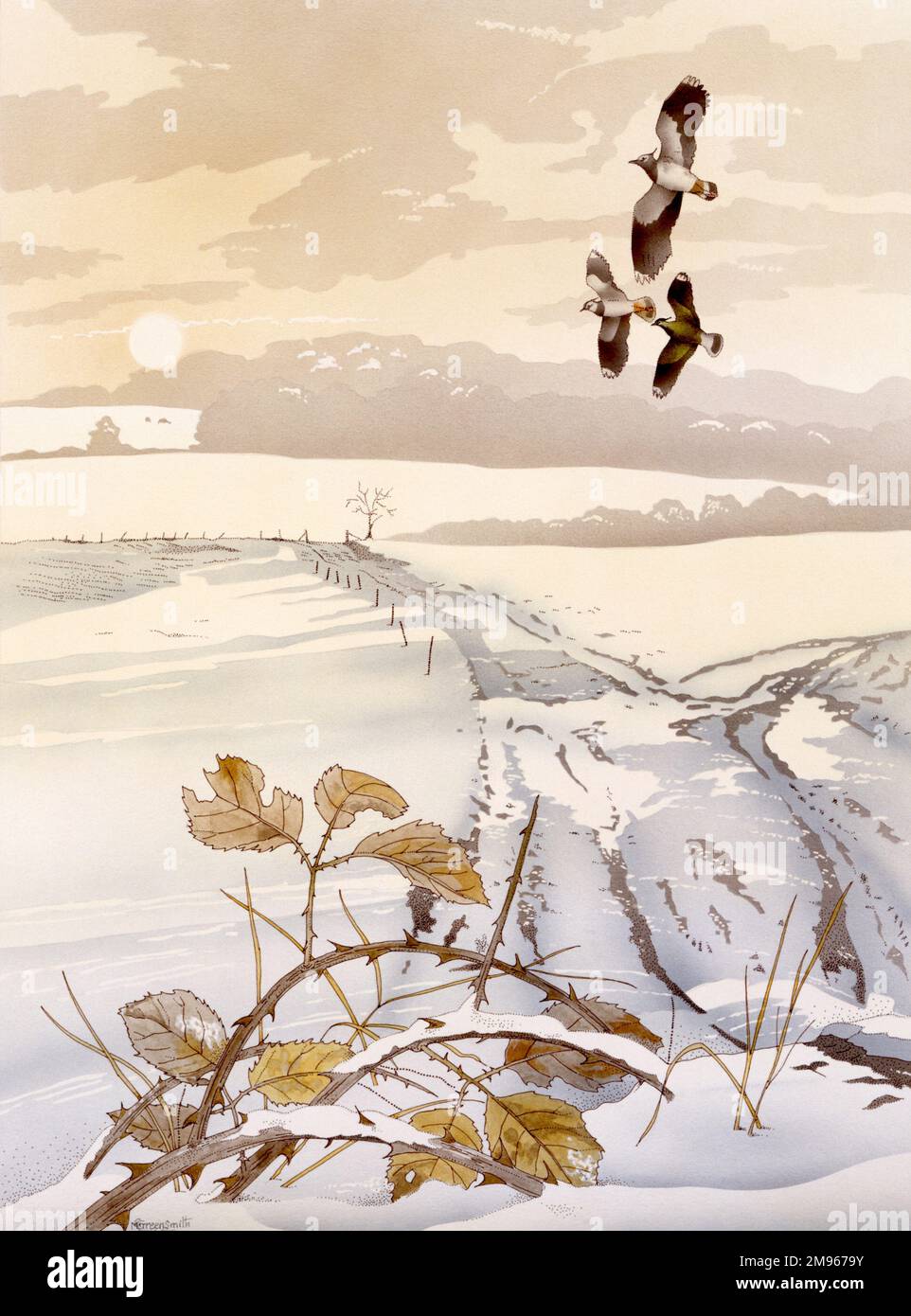 A winter scene in the countryside, with three birds flying over a snow ...